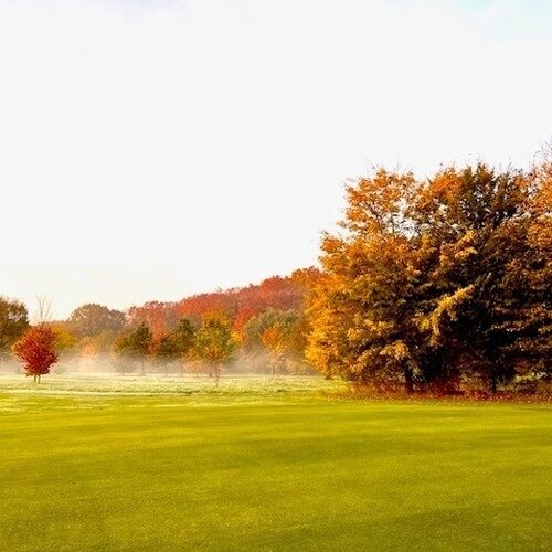 Kochen im Tal-Buffet